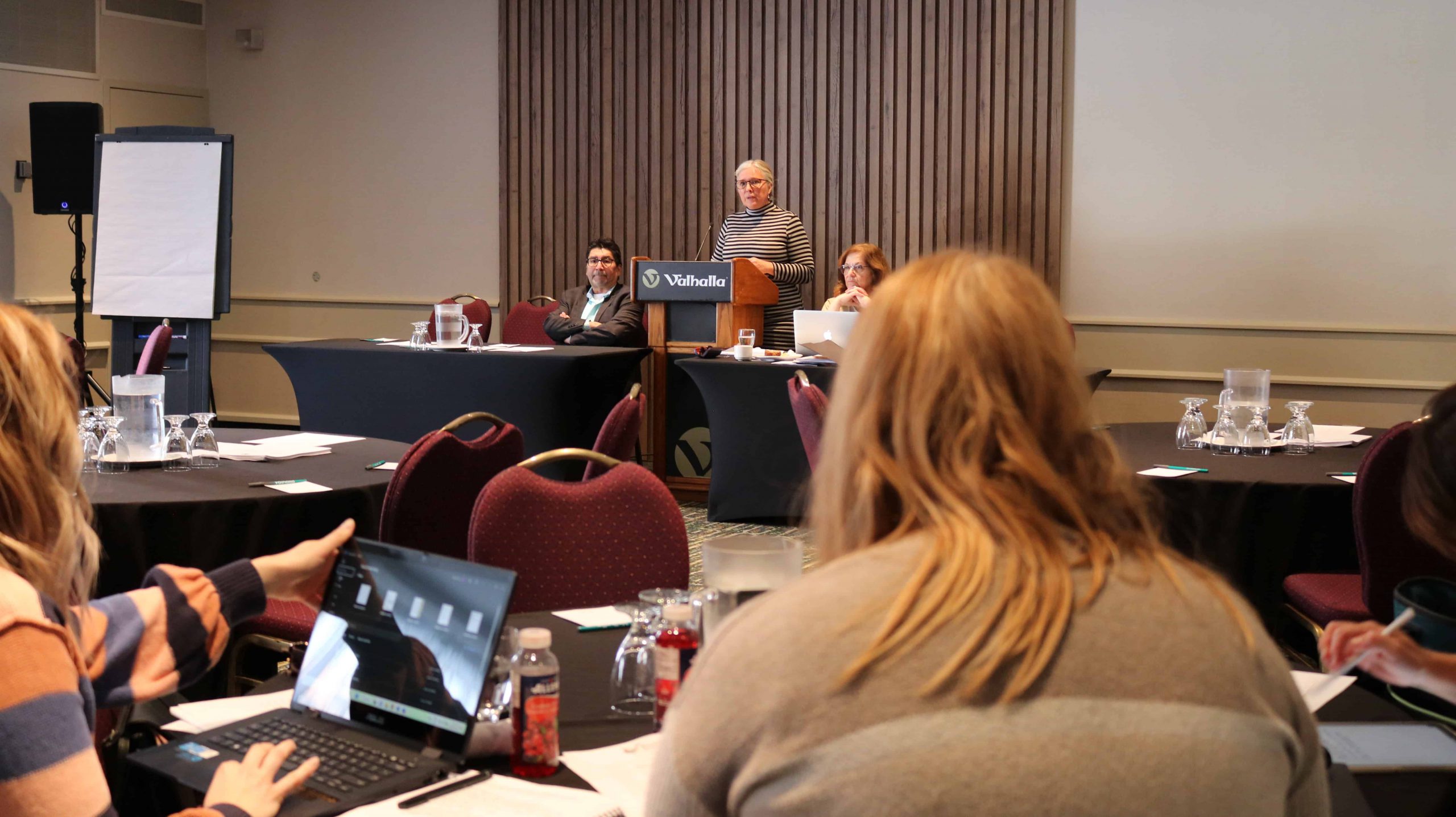 Community Consultations - Gull Bay First Nation